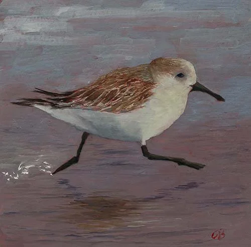Sea Birds — Jon Bandish Art