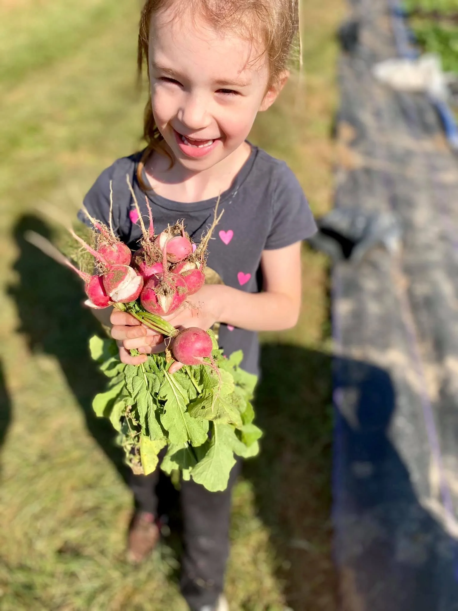 About — Josie Porter Farm