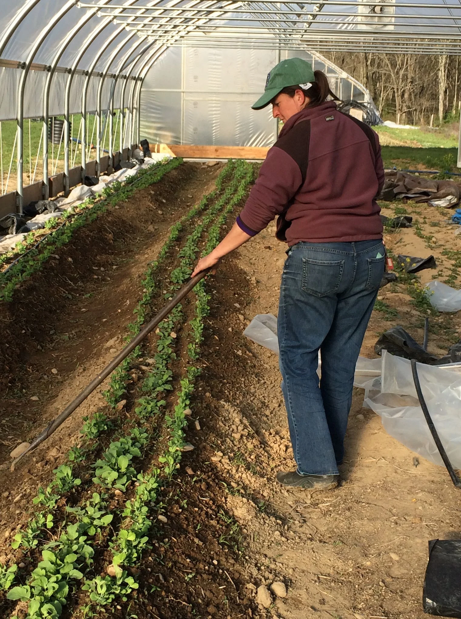 About — Josie Porter Farm