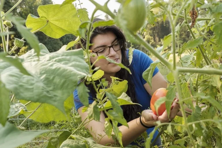 About — Josie Porter Farm