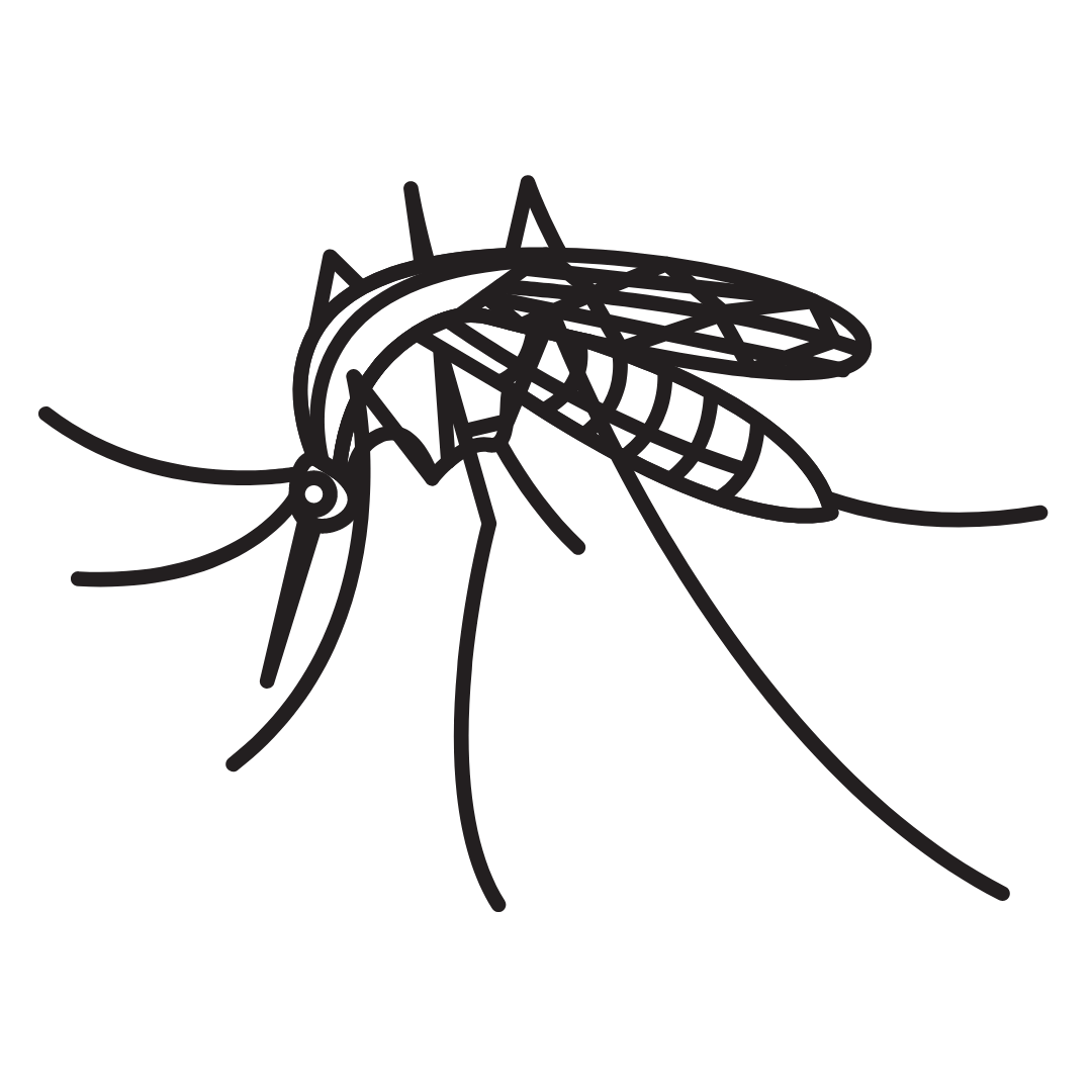 Bug Assassin Pest Management - Home & Commercial Pest Control Services ...