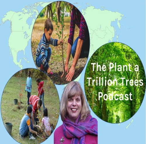 In the News — The Plant a Trillion Trees Podcast