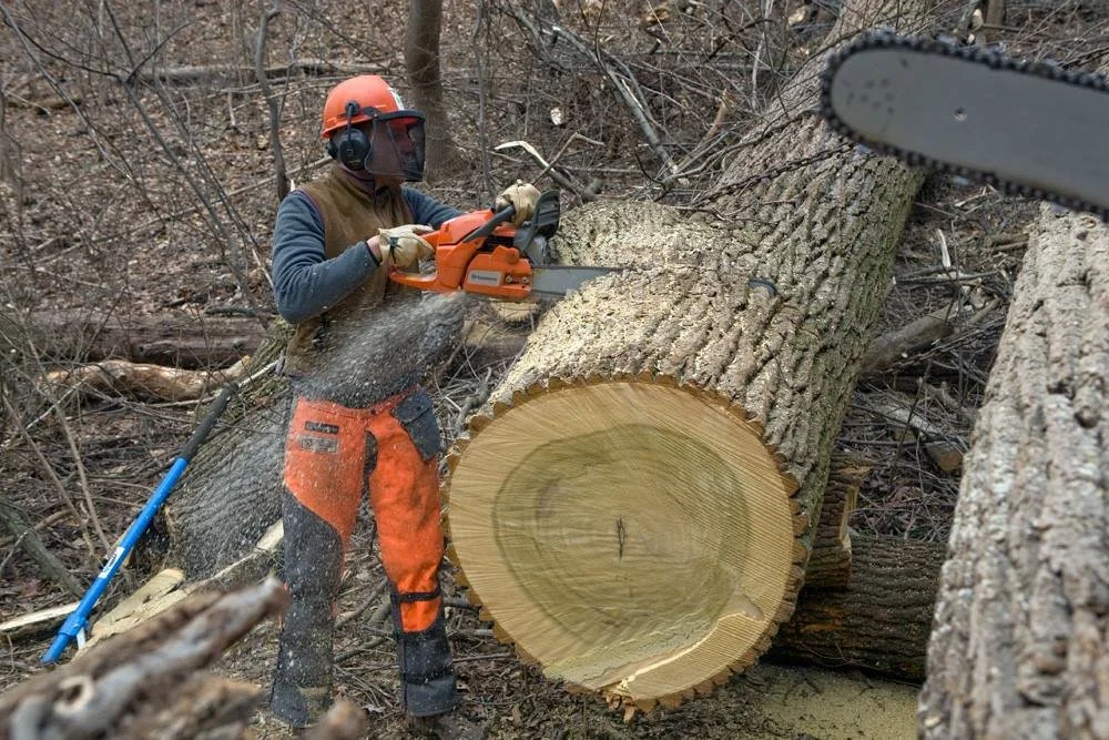 Episode 47 - John Holback is an open space technician for Midpeninsula ...