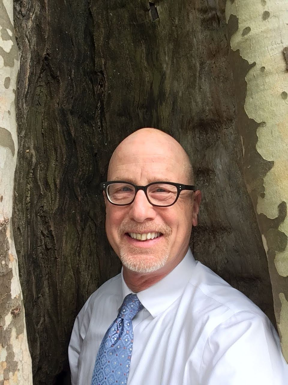 The Plant a Trillion Trees Podcast