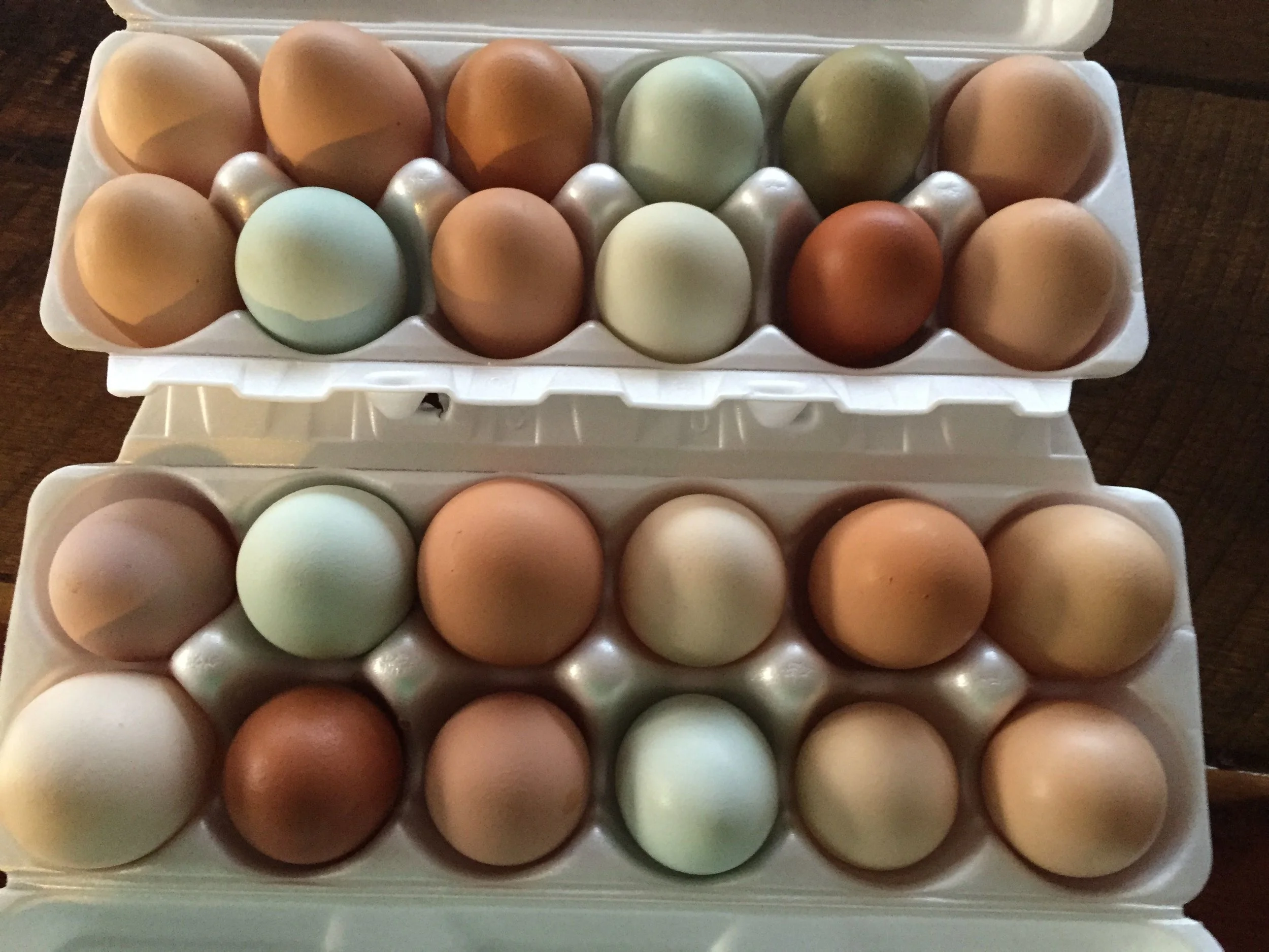 Local Secrets — The Sabula Castle Bed & Breakfast