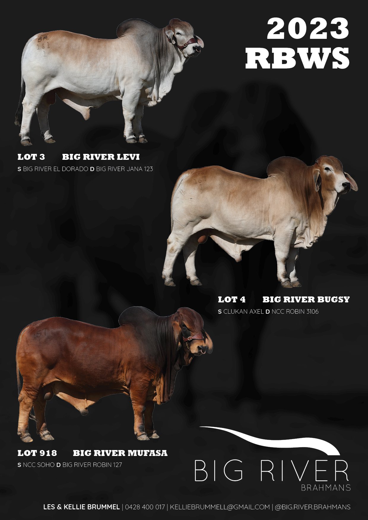 Our Work - Big River Brahmans — Emporia Communications