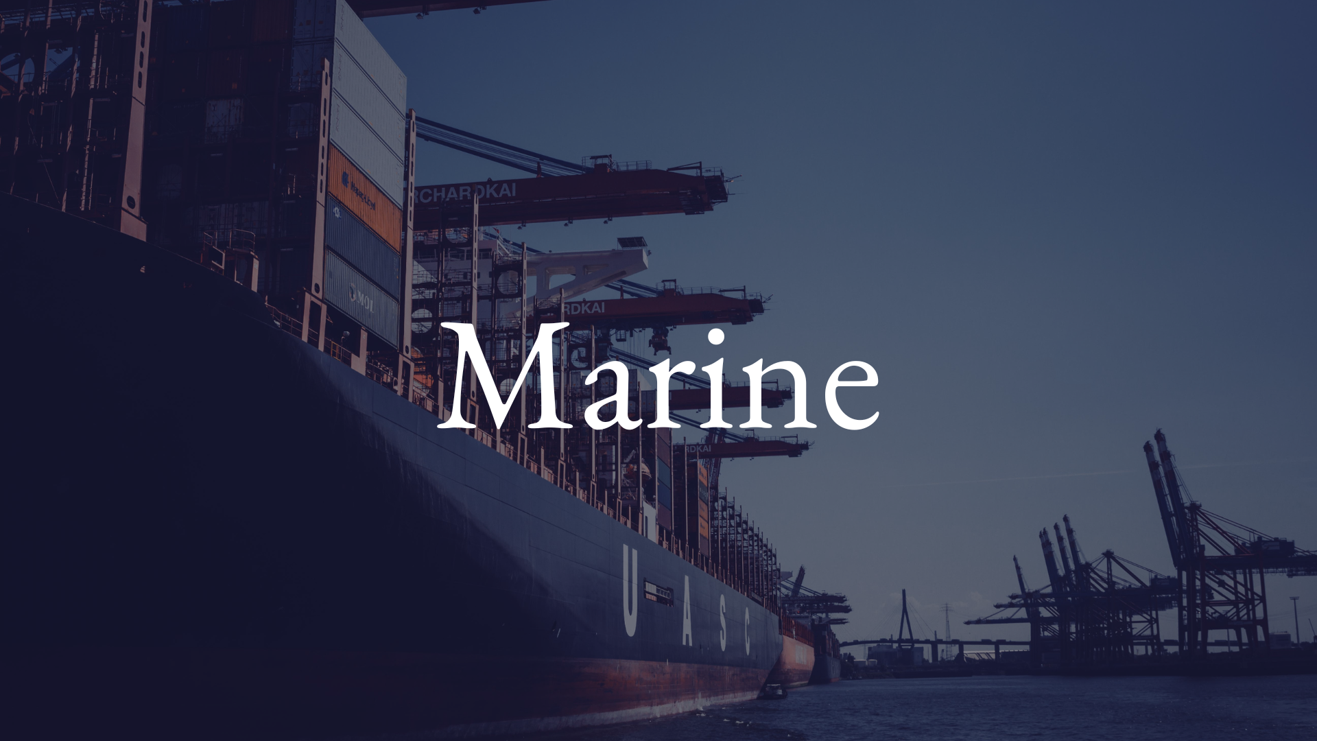 Services — Angove Partners