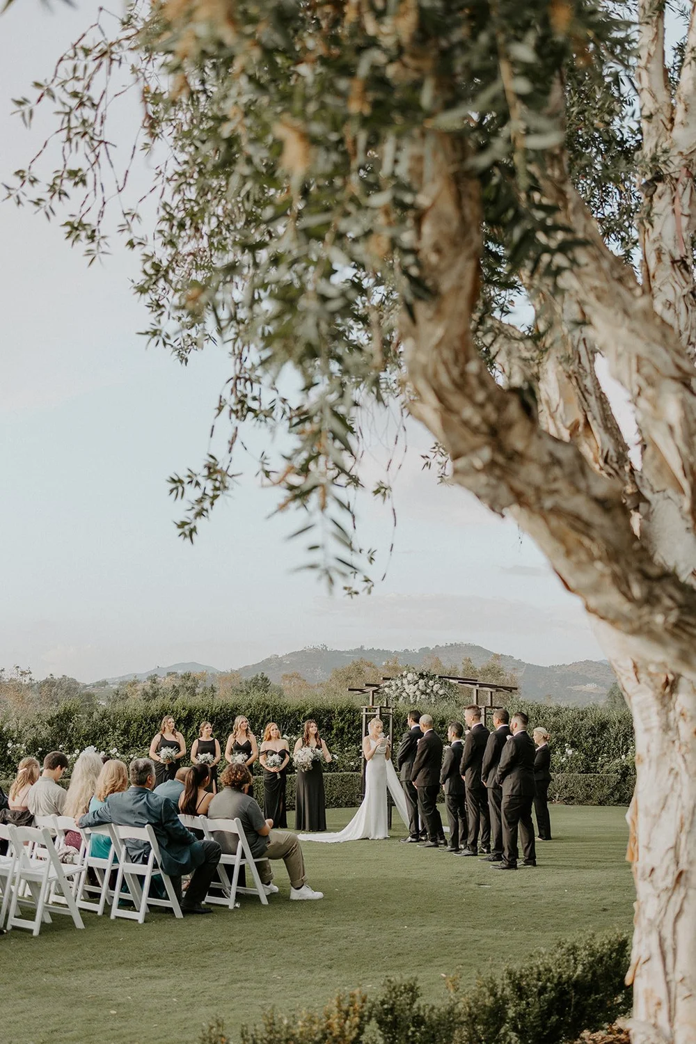 Elsie & Michael — Twin Oaks Wedding Venue in San Marcos