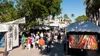 Downtown Art Fair — Naples Art Institute