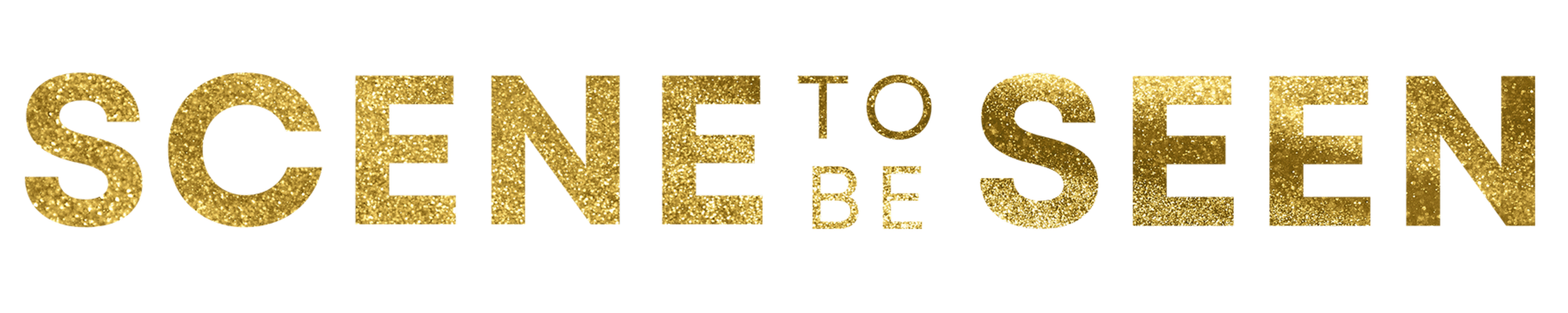 Scene To Be Seen — Naples Art Institute