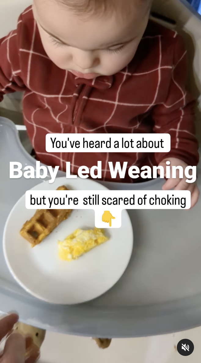 How to balance milk feeds when starting solids — 101 before one Baby Led Feeding