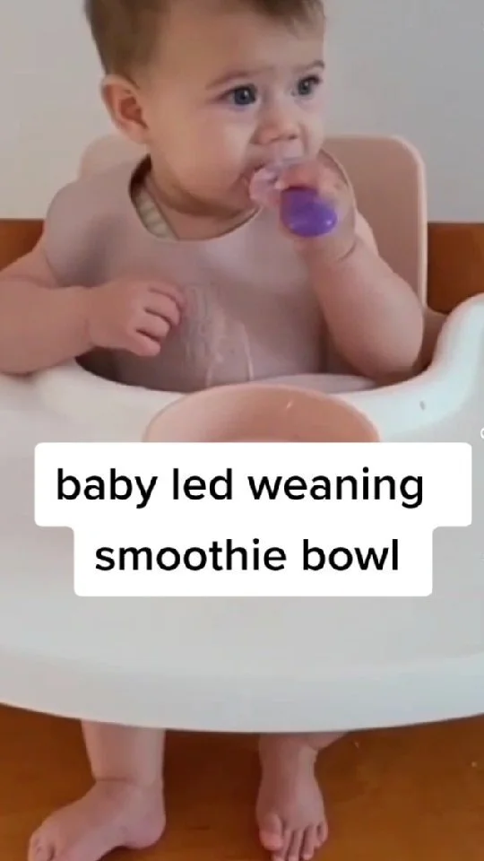 101 before one Baby Led Feeding | 101 Before One