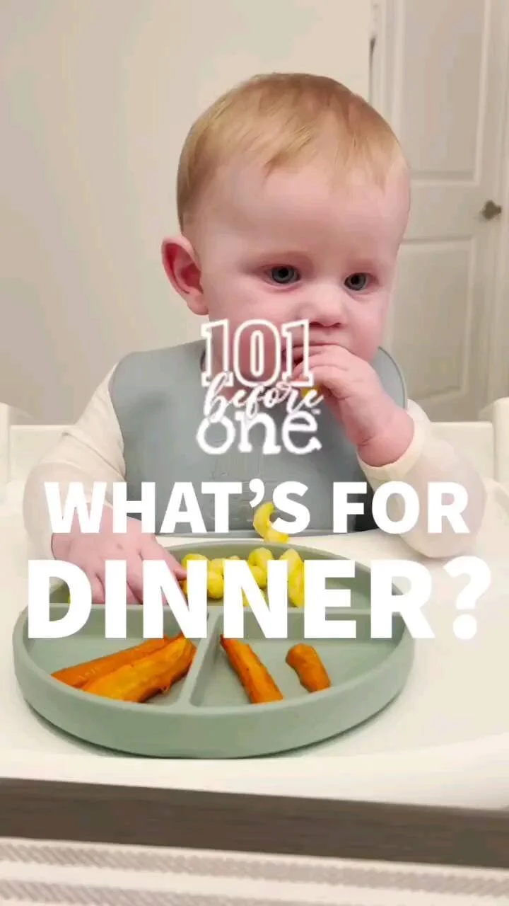 101 before one Baby Led Feeding | 101 Before One