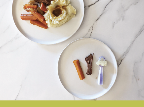 Baby Led Weaning Program | 101 Before One