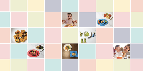 101 before one Baby Led Feeding