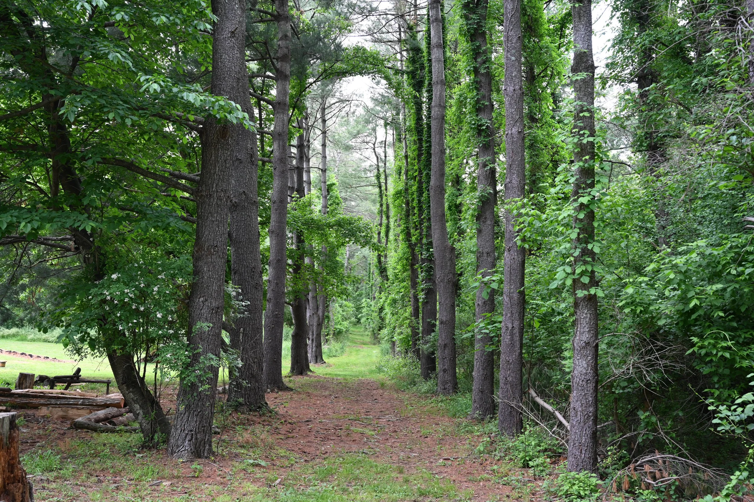 Frontier Culture Museum