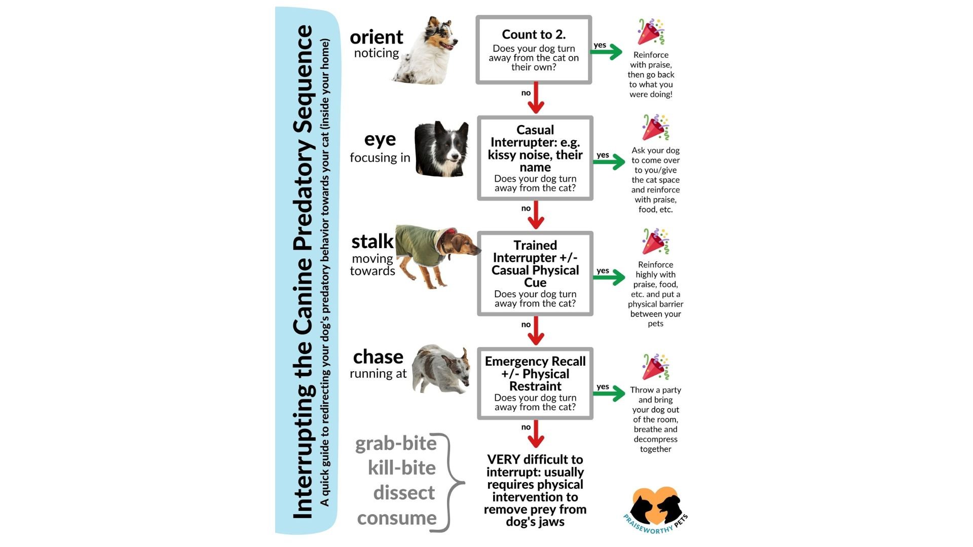 Store: Webinars and Resources