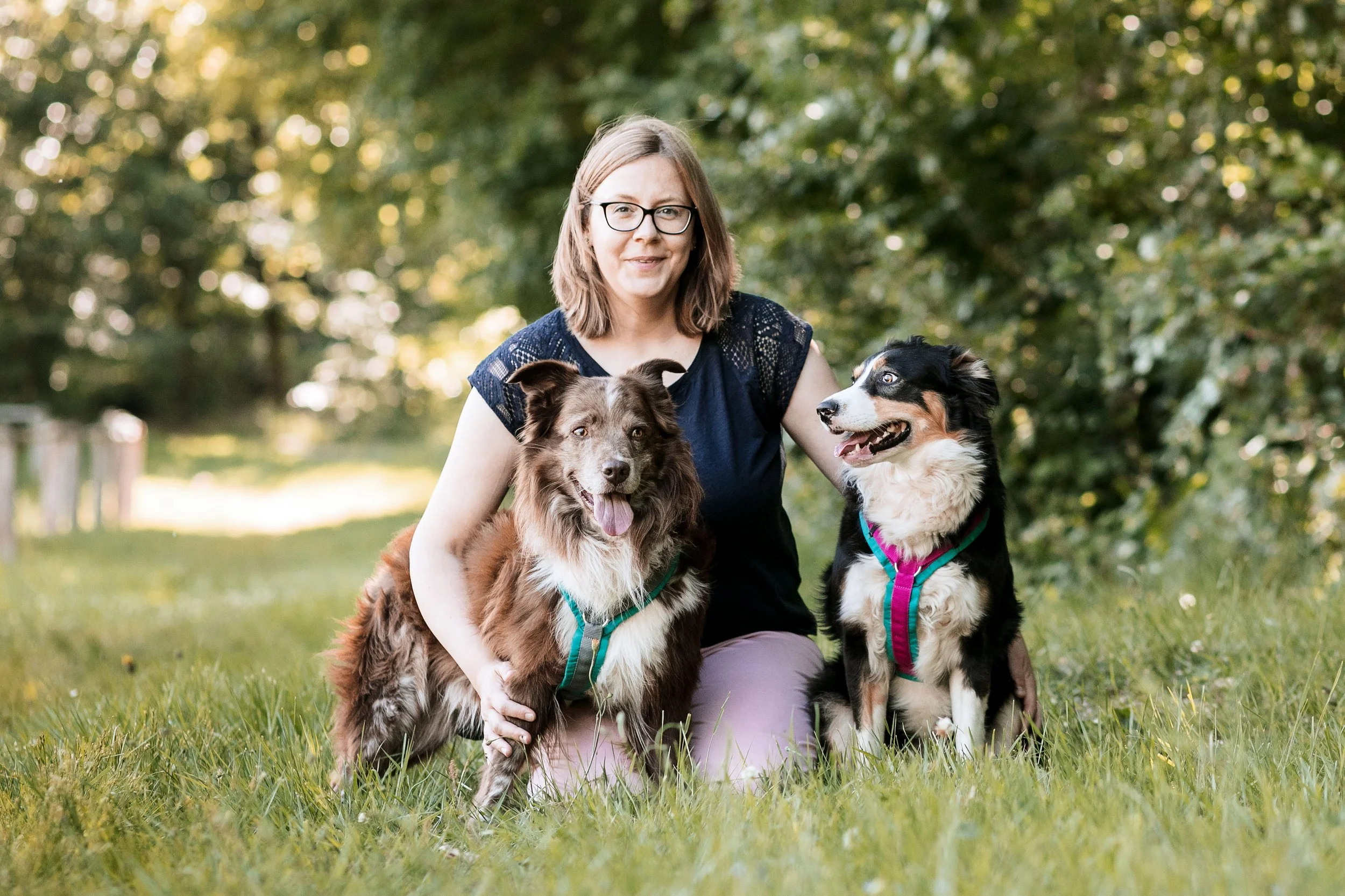 Can a dog with prey drive live with a cat?