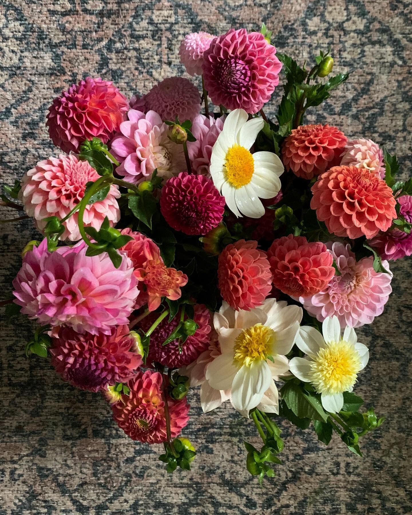 Sterling Stems Flower Farm