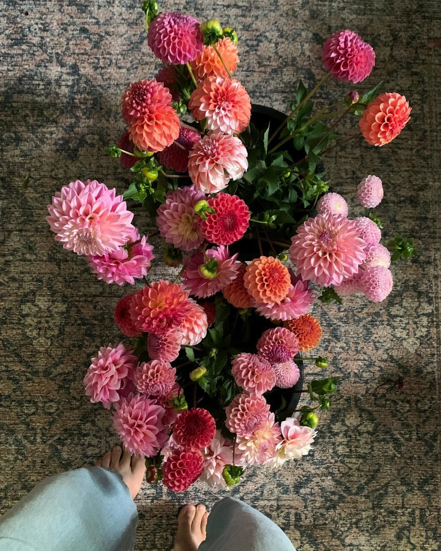 Sterling Stems Flower Farm