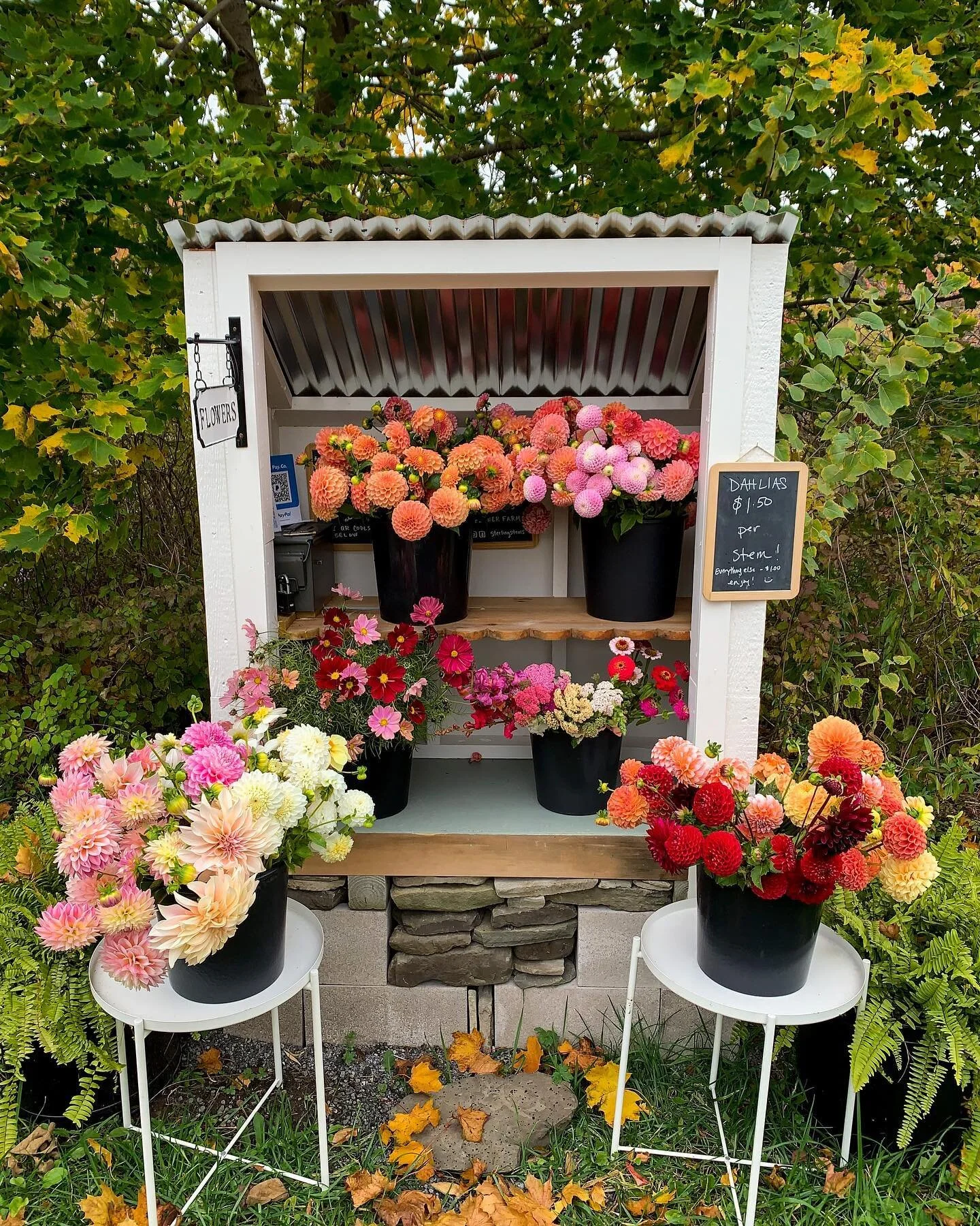 Sterling Stems Flower Farm