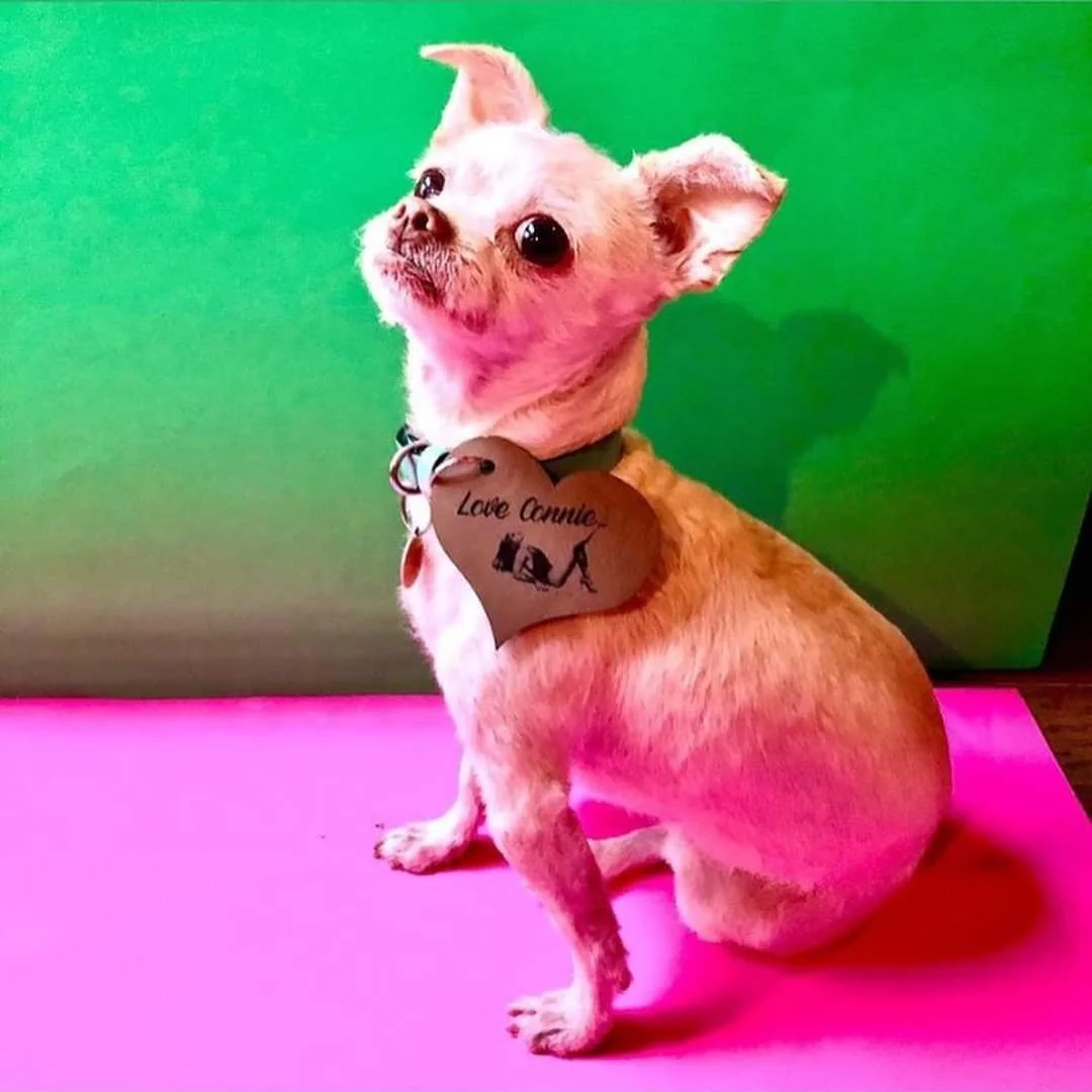 Equality Engraving Exclusively Inclusive Home