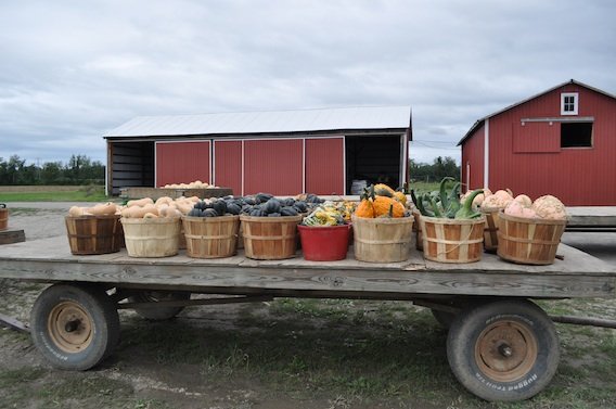 General 4 — Hand Melon Farm