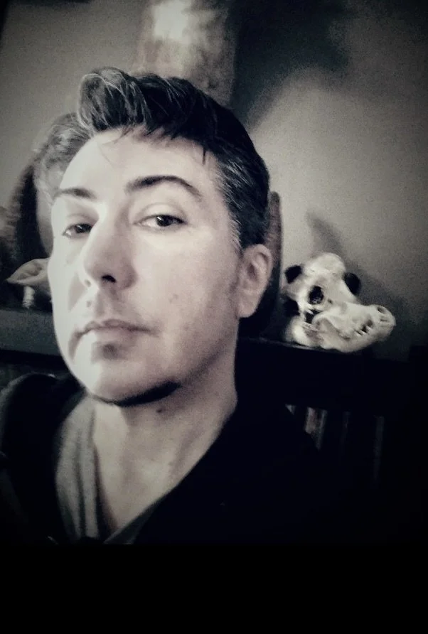 Check out my interview with Joe Koch, author of Convulsive, Invaginies ...