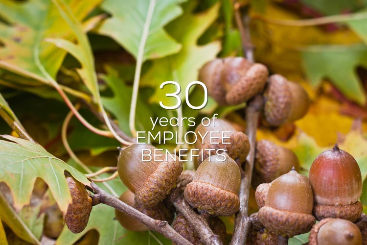 Big Oak Benefits Group big-oak-benefits-group