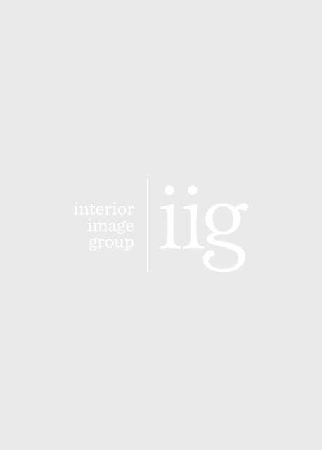 Our Team — IIG