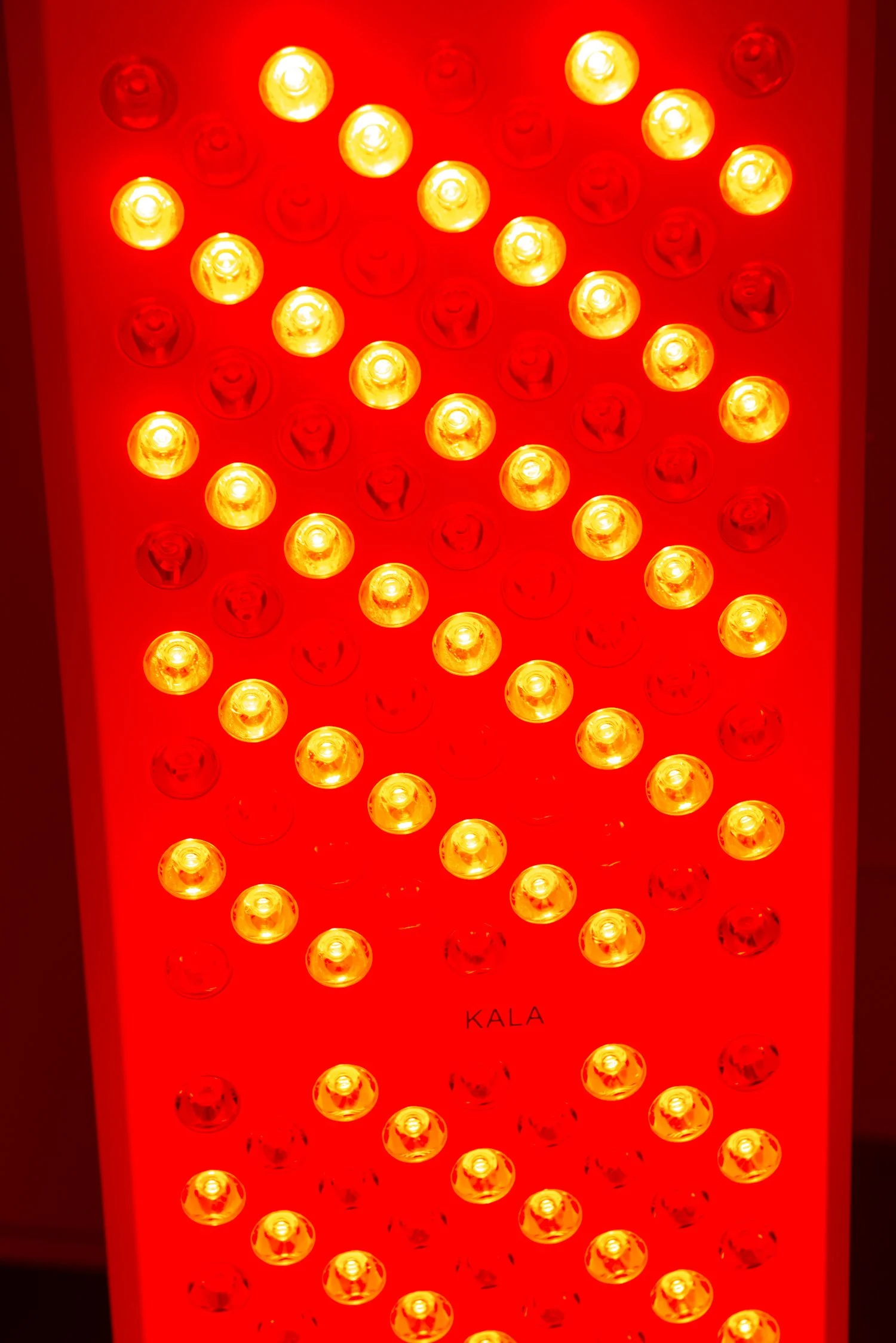 Acupuncture & Red Light Therapy — Antidote Wellness Lab