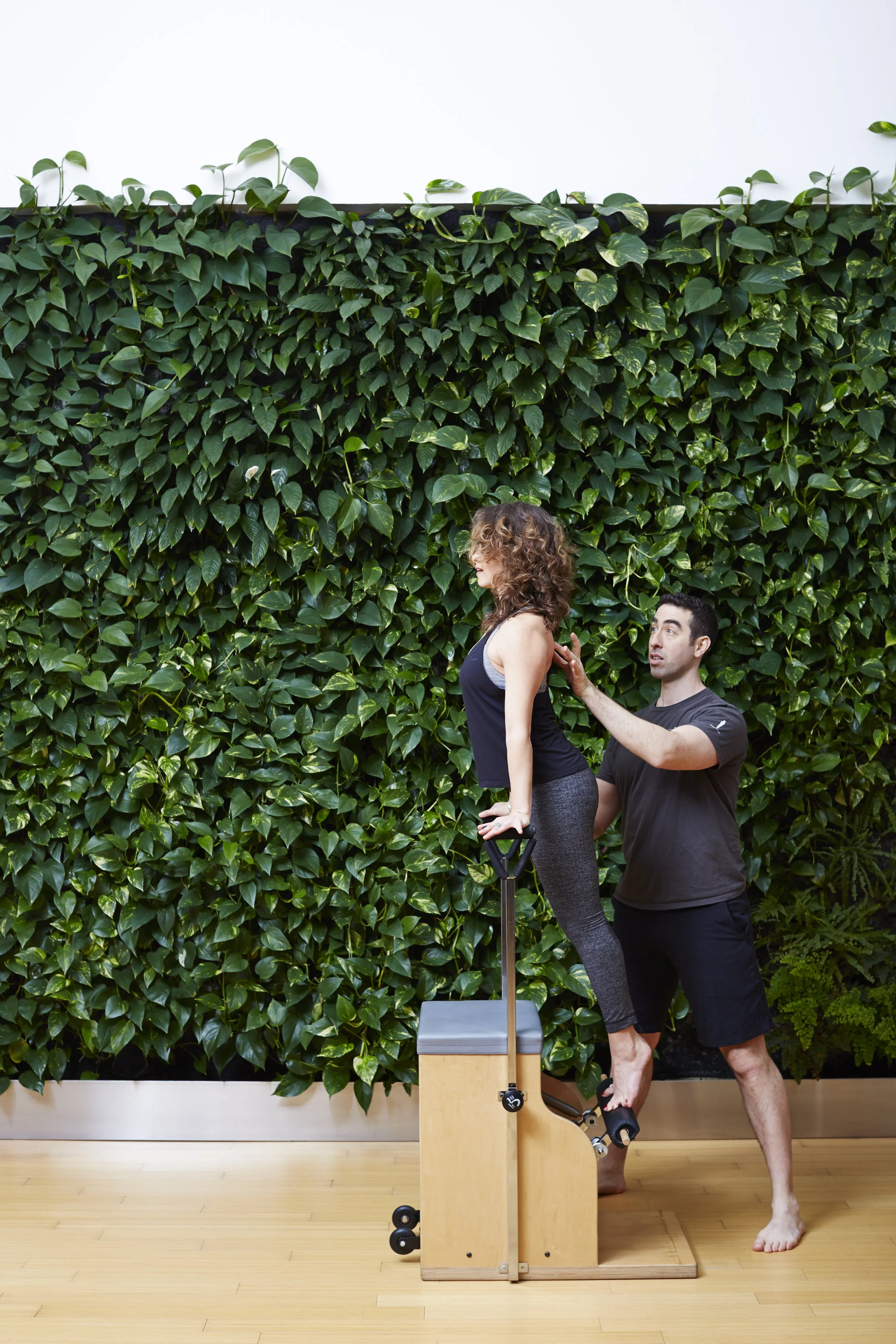 Find a Trainer or Therapist | Arrive Wellness