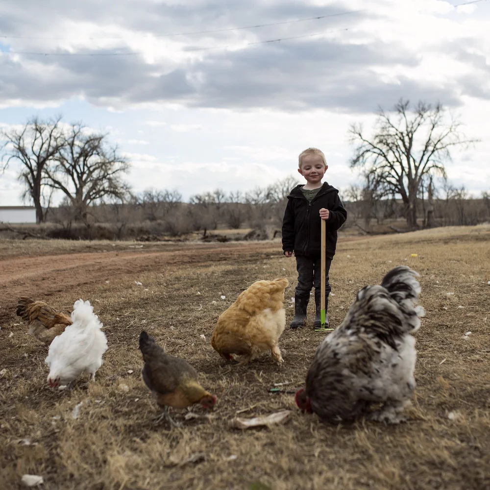 Lessons on the Farm-Raising Boys in the Country — Whitney Out West