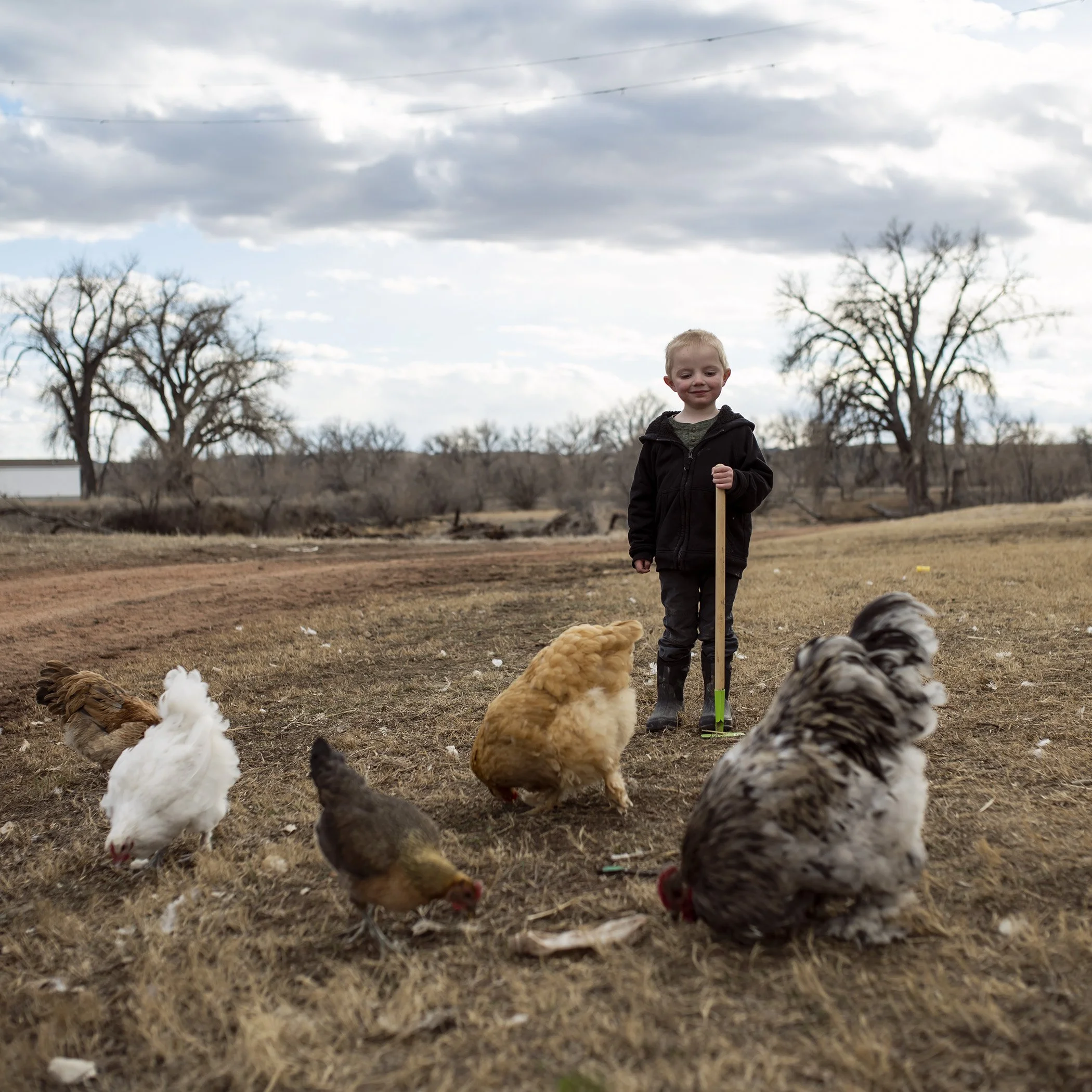 Lessons on the Farm-Raising Boys in the Country — Whitney Out West