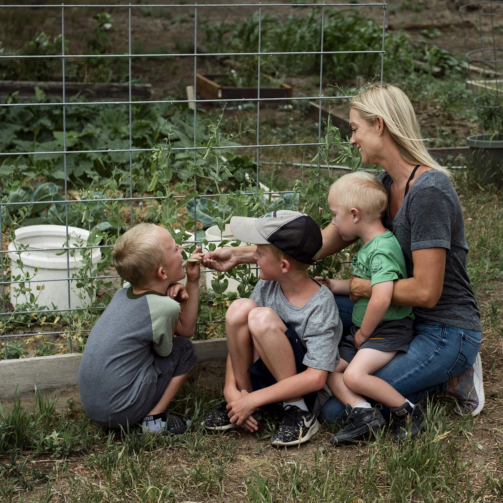 Lessons on the Farm-Raising Boys in the Country — Whitney Out West