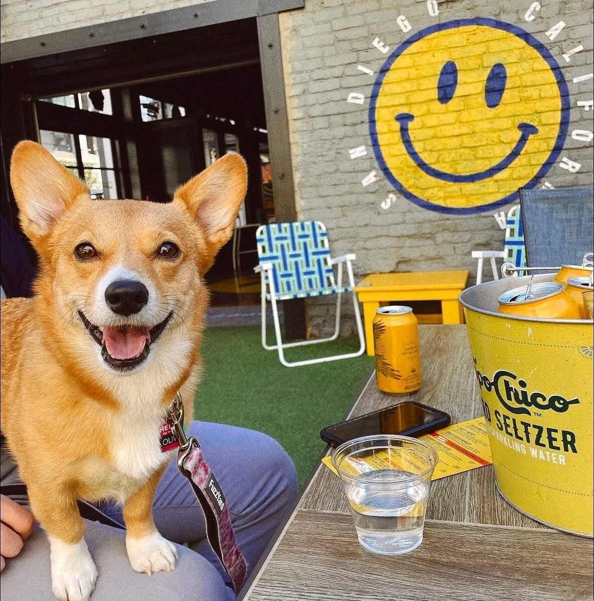 Happy Does Bar | Gaslamp Quarter | San Diego