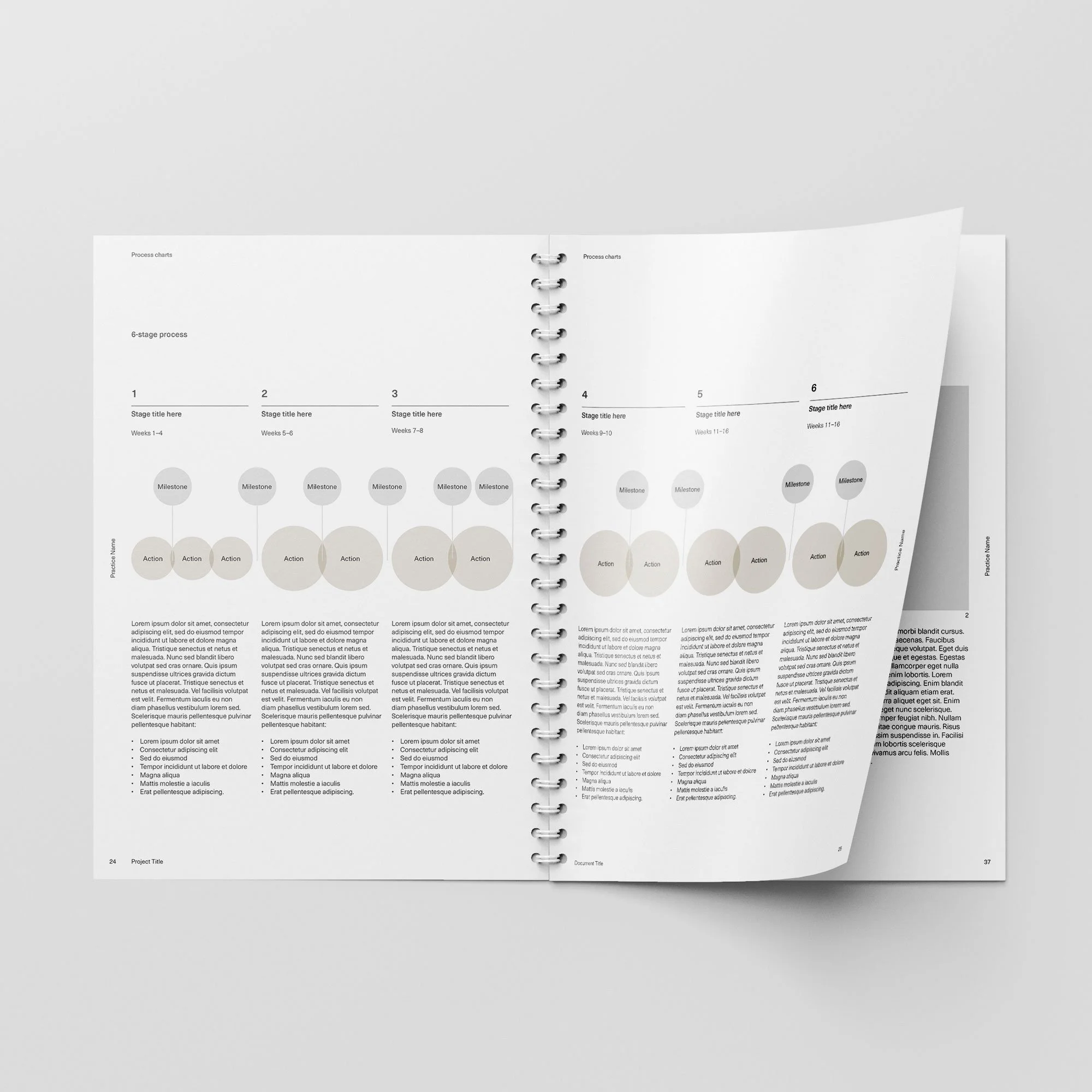 Architecture project sheet A4 — Architecture templates