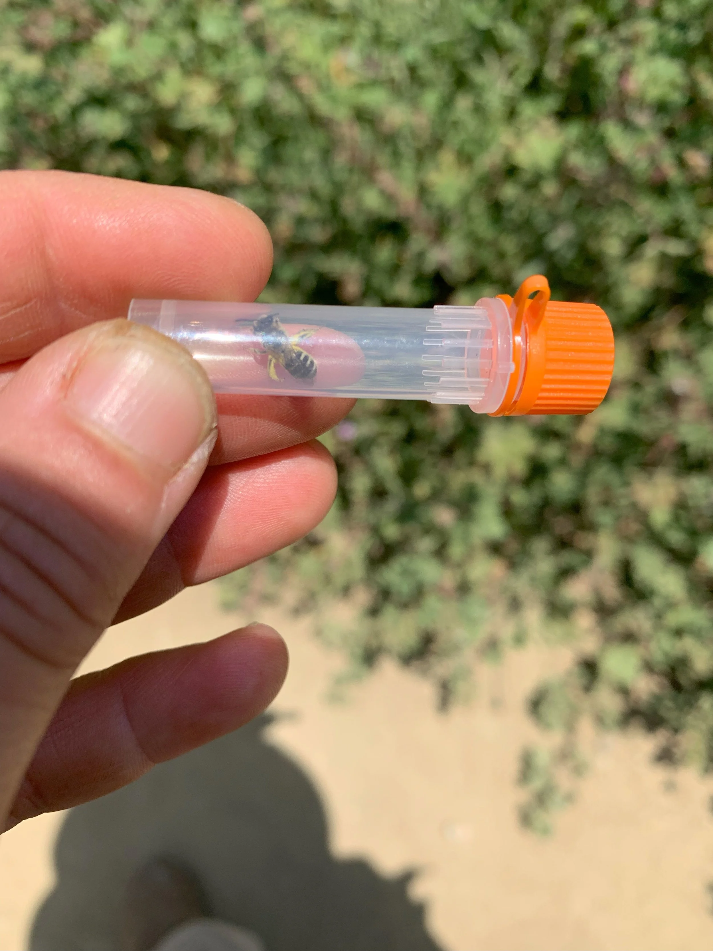 Natural Resource Monitoring — Ventura Land Trust