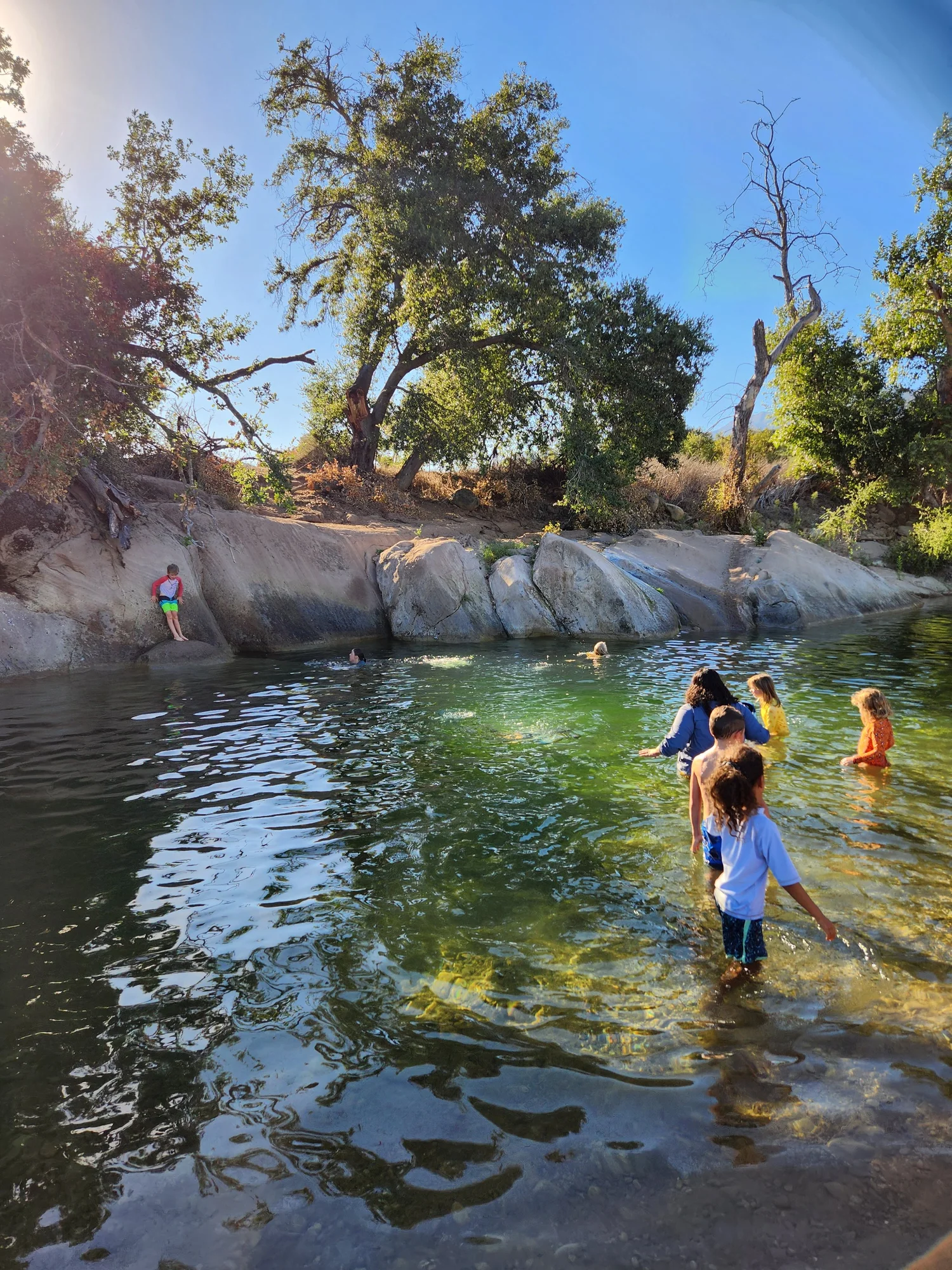 Ventura Wild Summer Programs — Ventura Land Trust