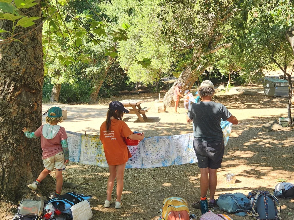 Ventura Wild Summer Programs — Ventura Land Trust