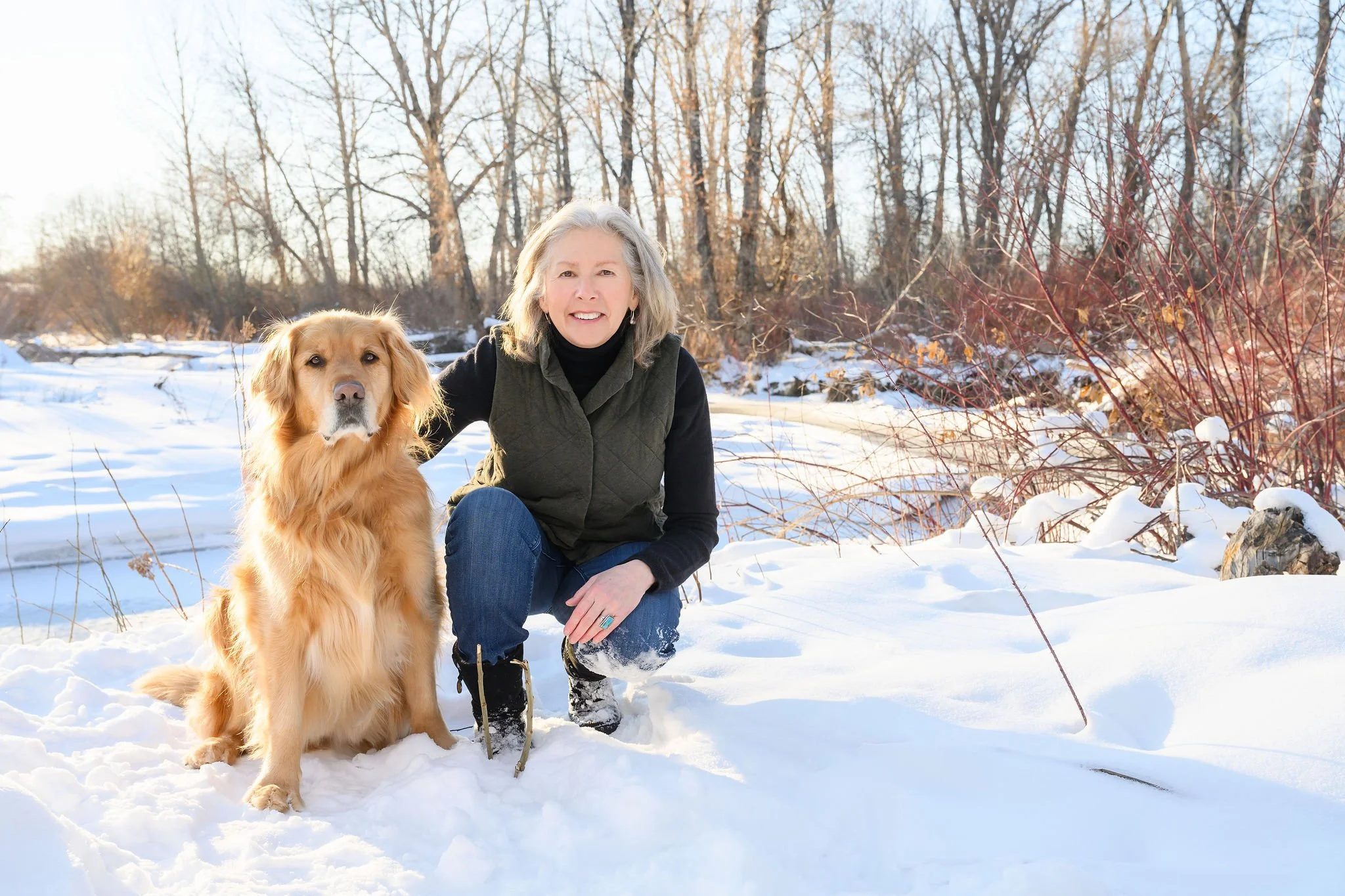 Denise Hayman for SD33 — Denise Hayman for SD33