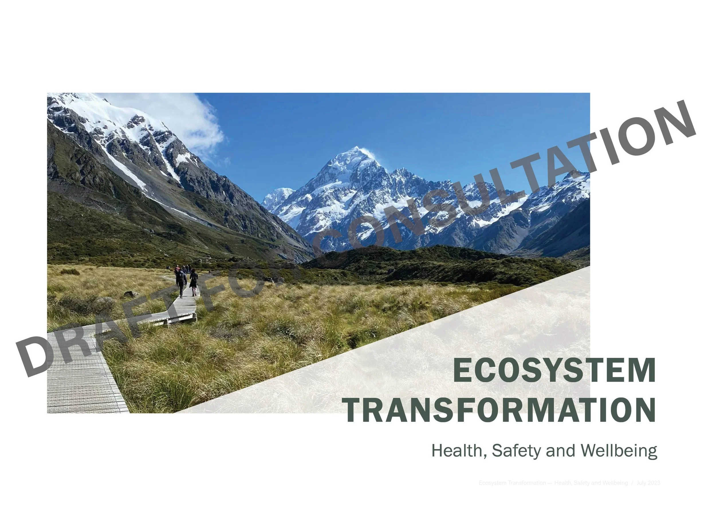 HSW Ecosystem Transformation — FutureSafeAotearoa