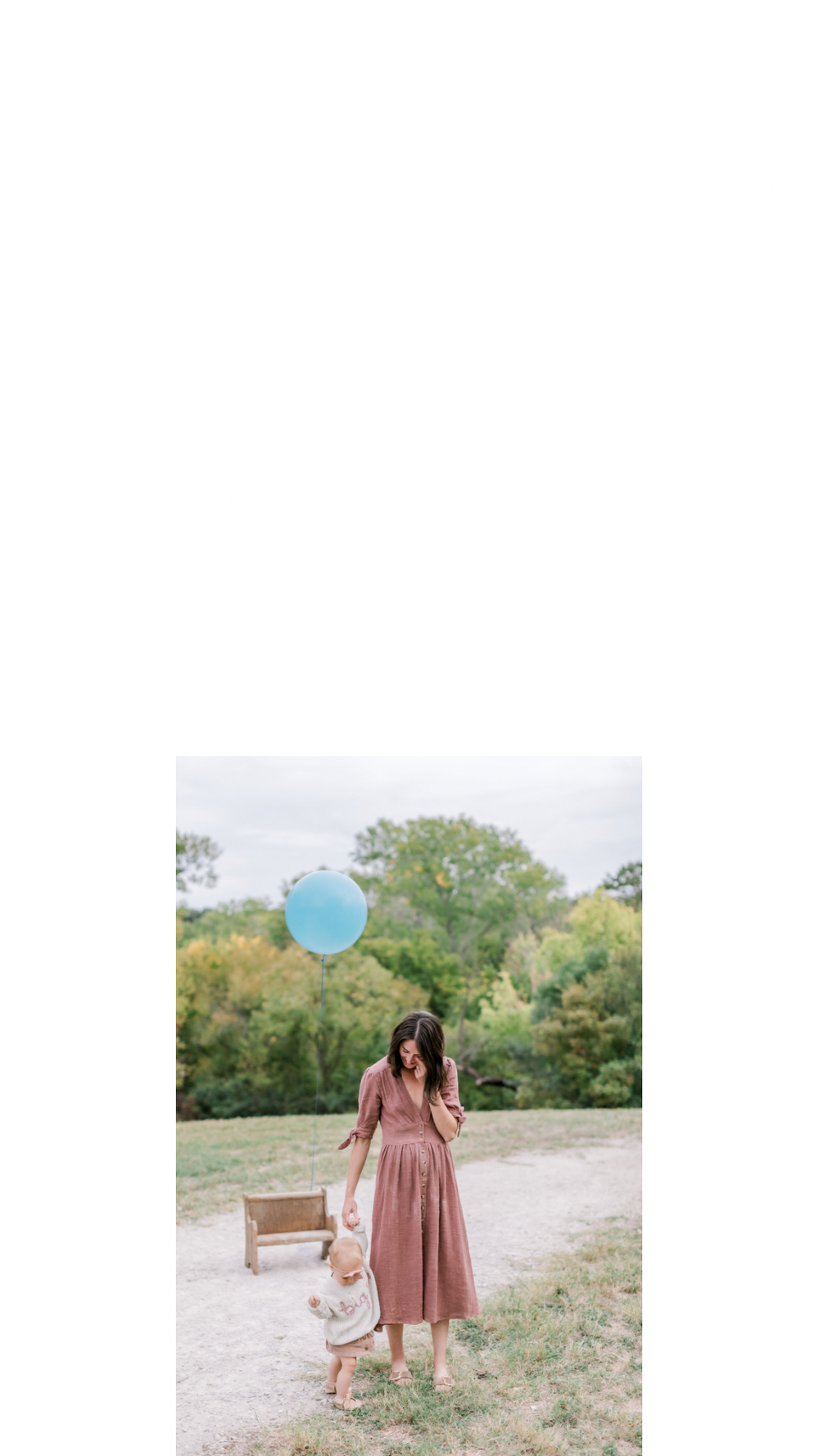 Sibling Gender Reveal — Hillside Farmhouse