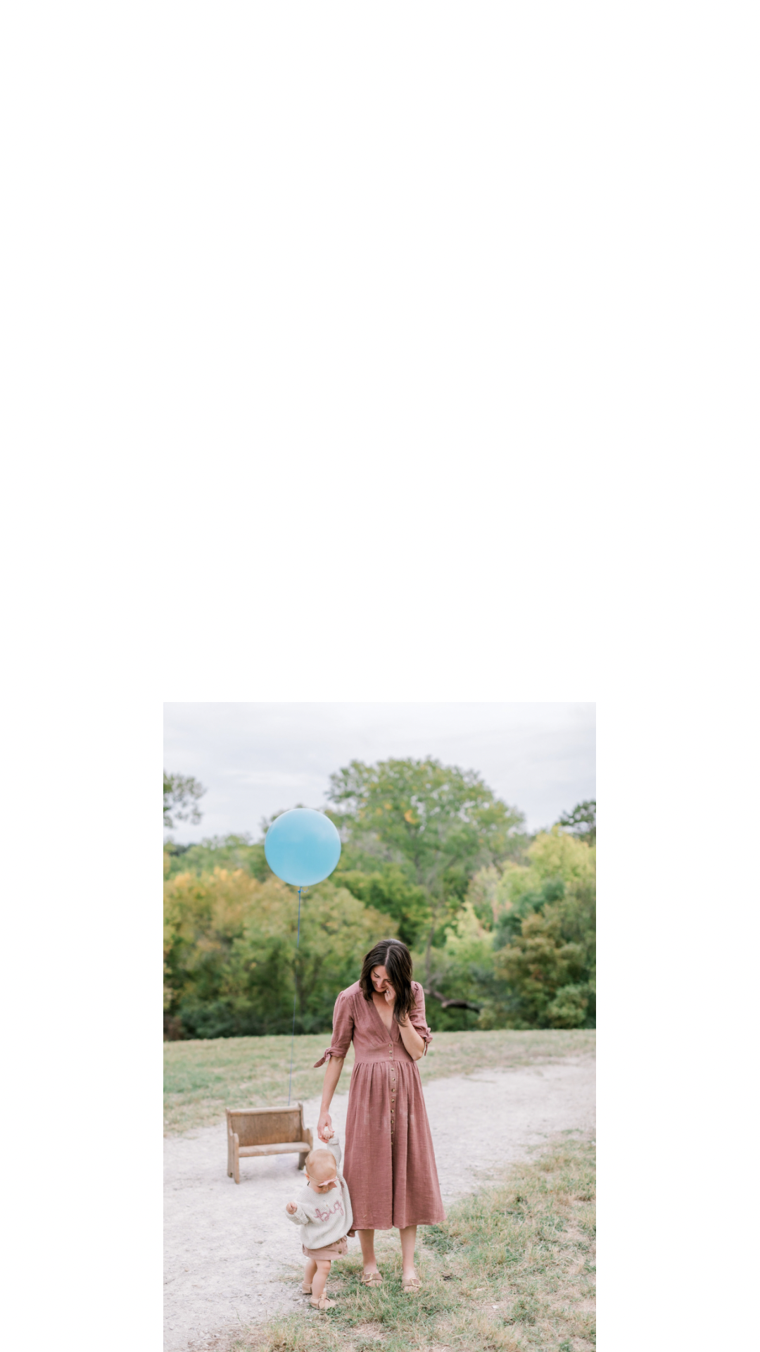 Sibling Gender Reveal — Hillside Farmhouse