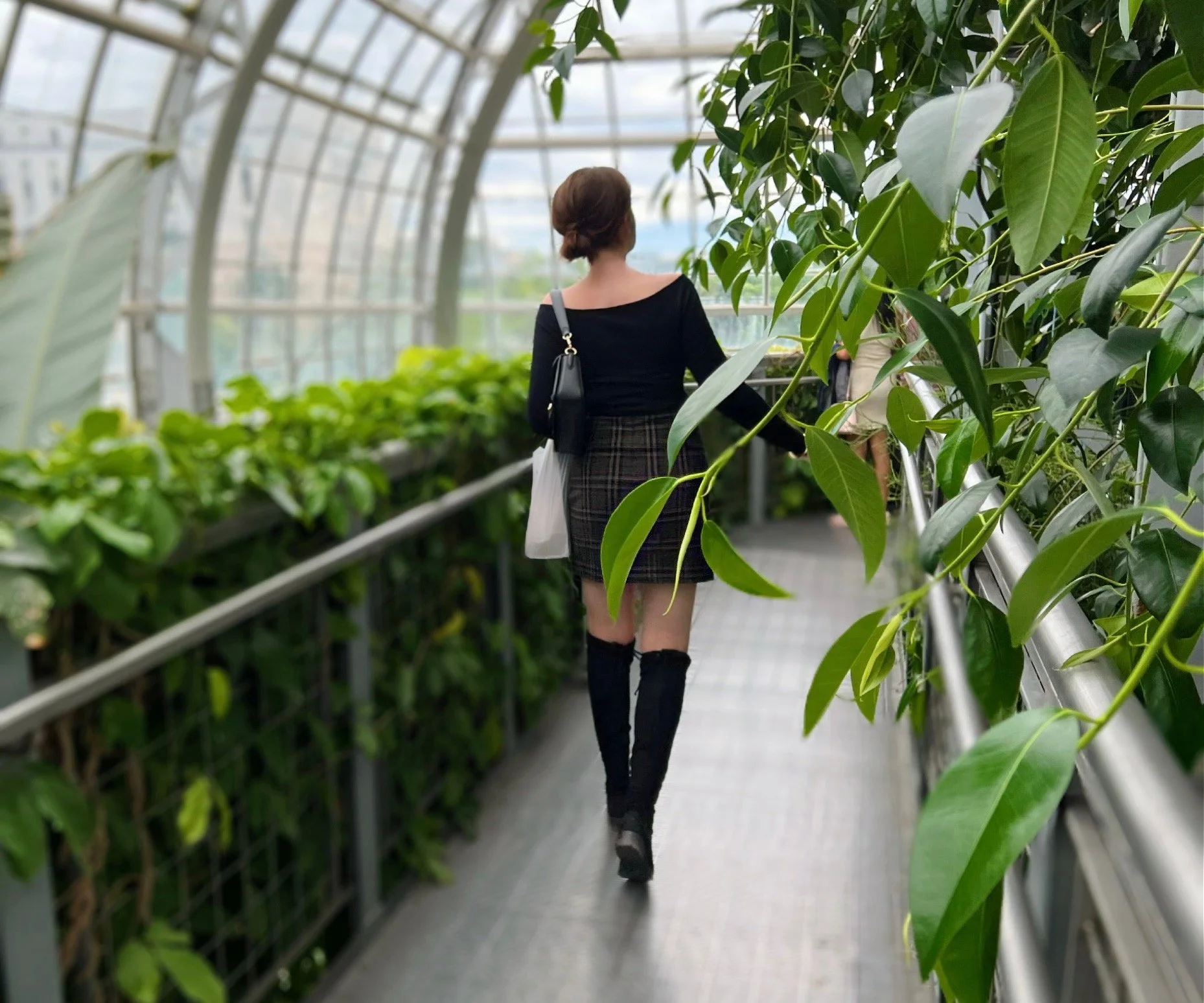 Gallery 2 — EVELYN VALE