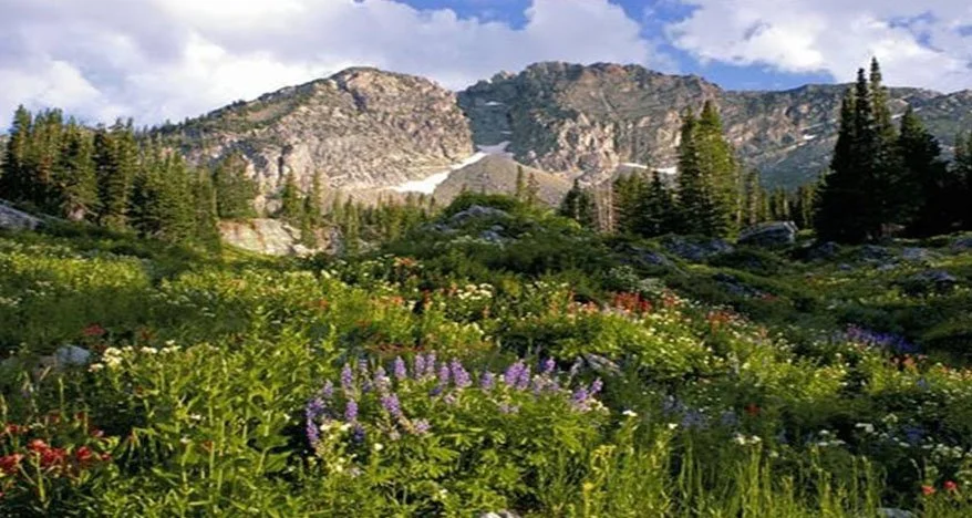 Kern Fire Safe Council