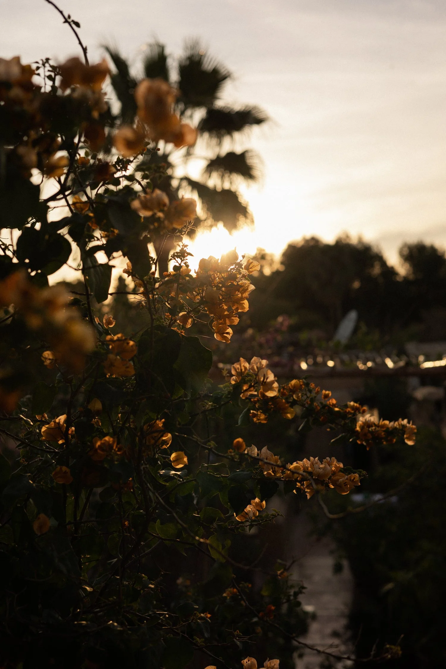 Dar Rbaa Laroub: A Hidden Oasis of Tranquillity in Marrakech's Medina ...