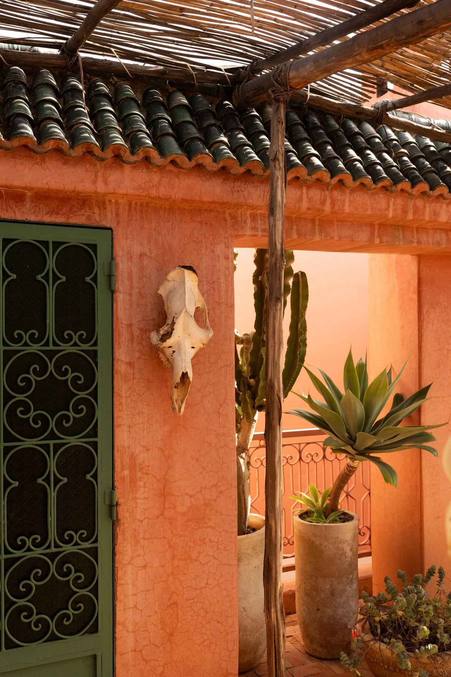 Riad Jardin Secret: A Brushstroke of Inspiration in Marrakech's Medina ...