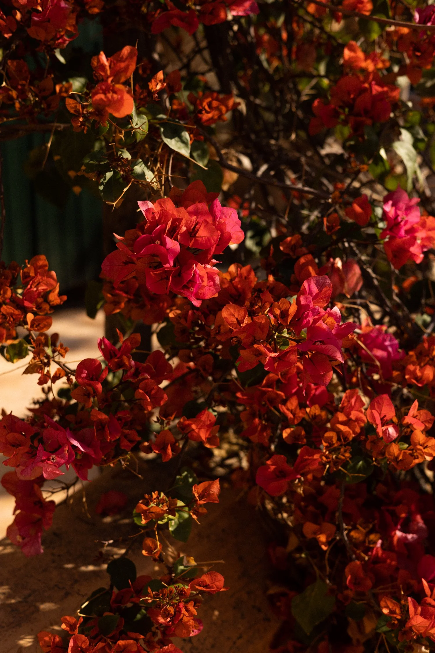 Dar Rbaa Laroub: A Hidden Oasis of Tranquillity in Marrakech's Medina ...