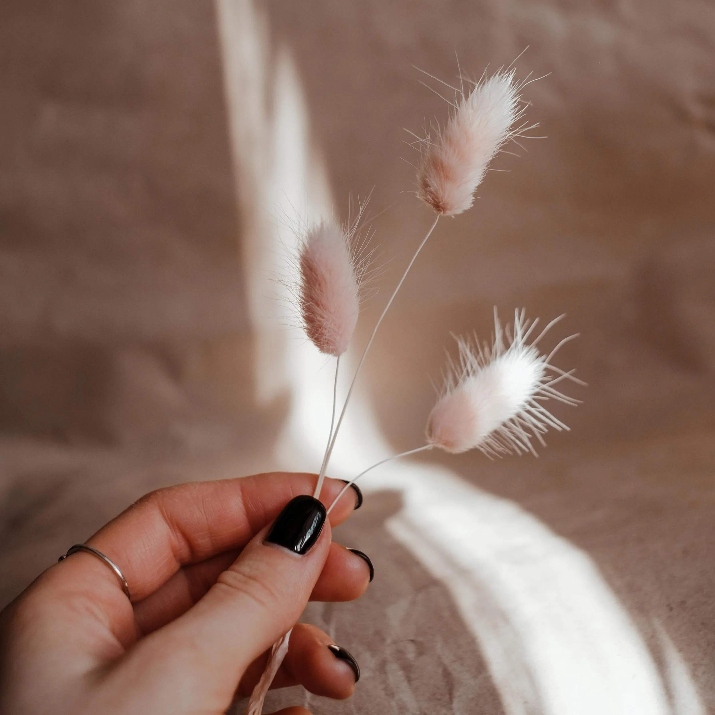 OFFERS — THE NAIL YARD